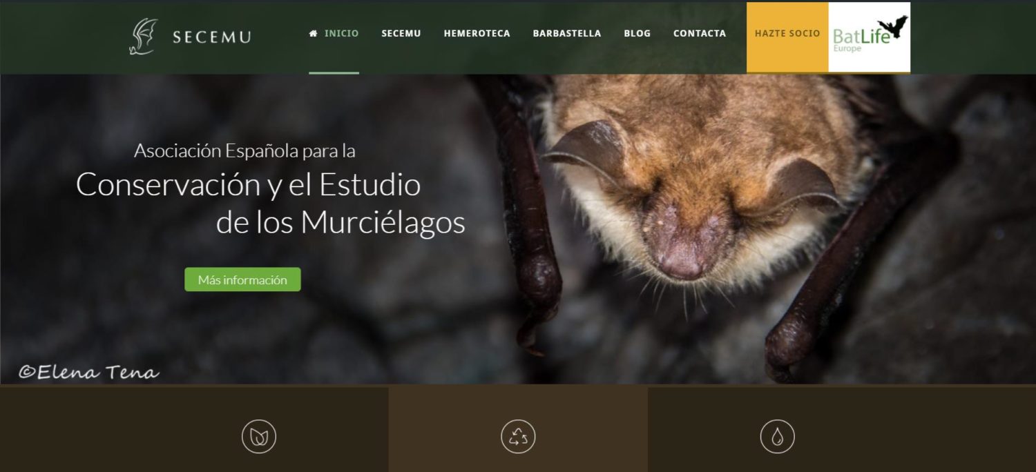 Primer año de la nueva Web de SECEMU - Secemu